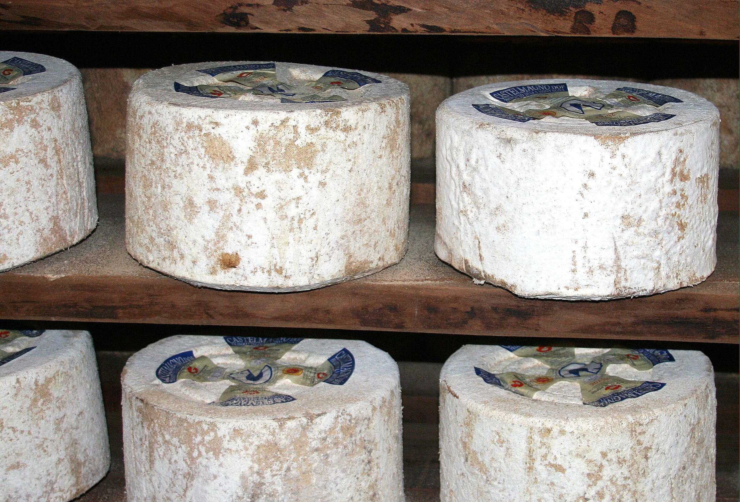 Castelmagno D.O.P. - Mary Beth Clark | Italian Recipes, Italian Cooking ...